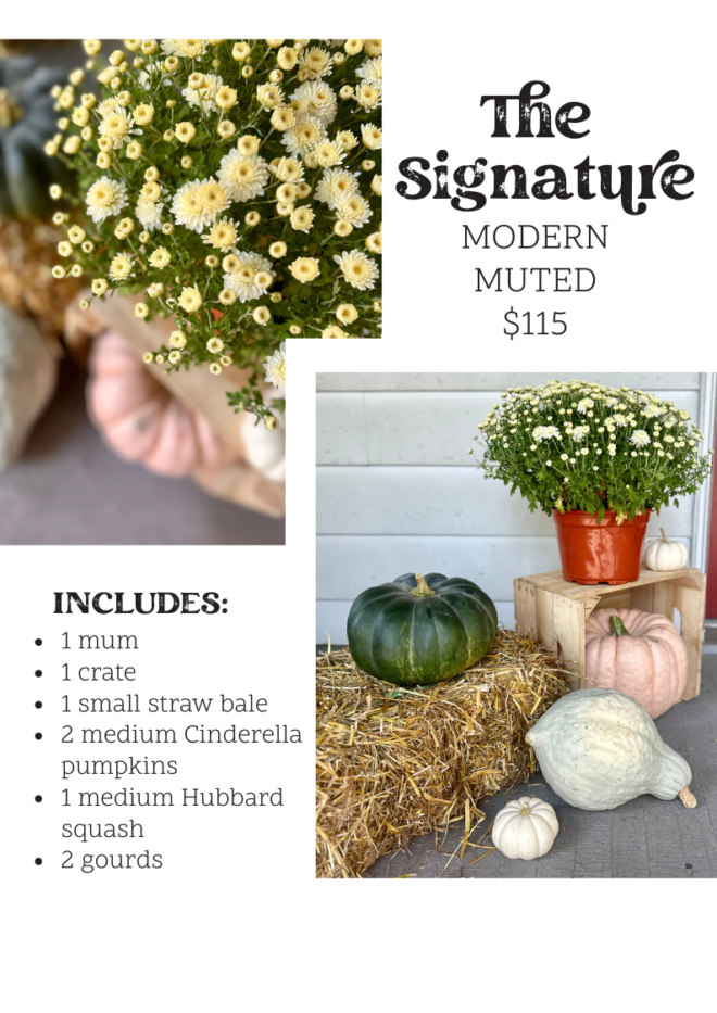 Signature Modern | Soergel Orchards