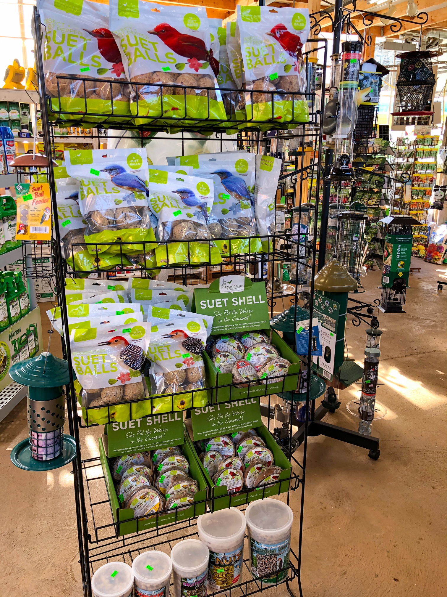 Bird Feeding | Soergel Orchards