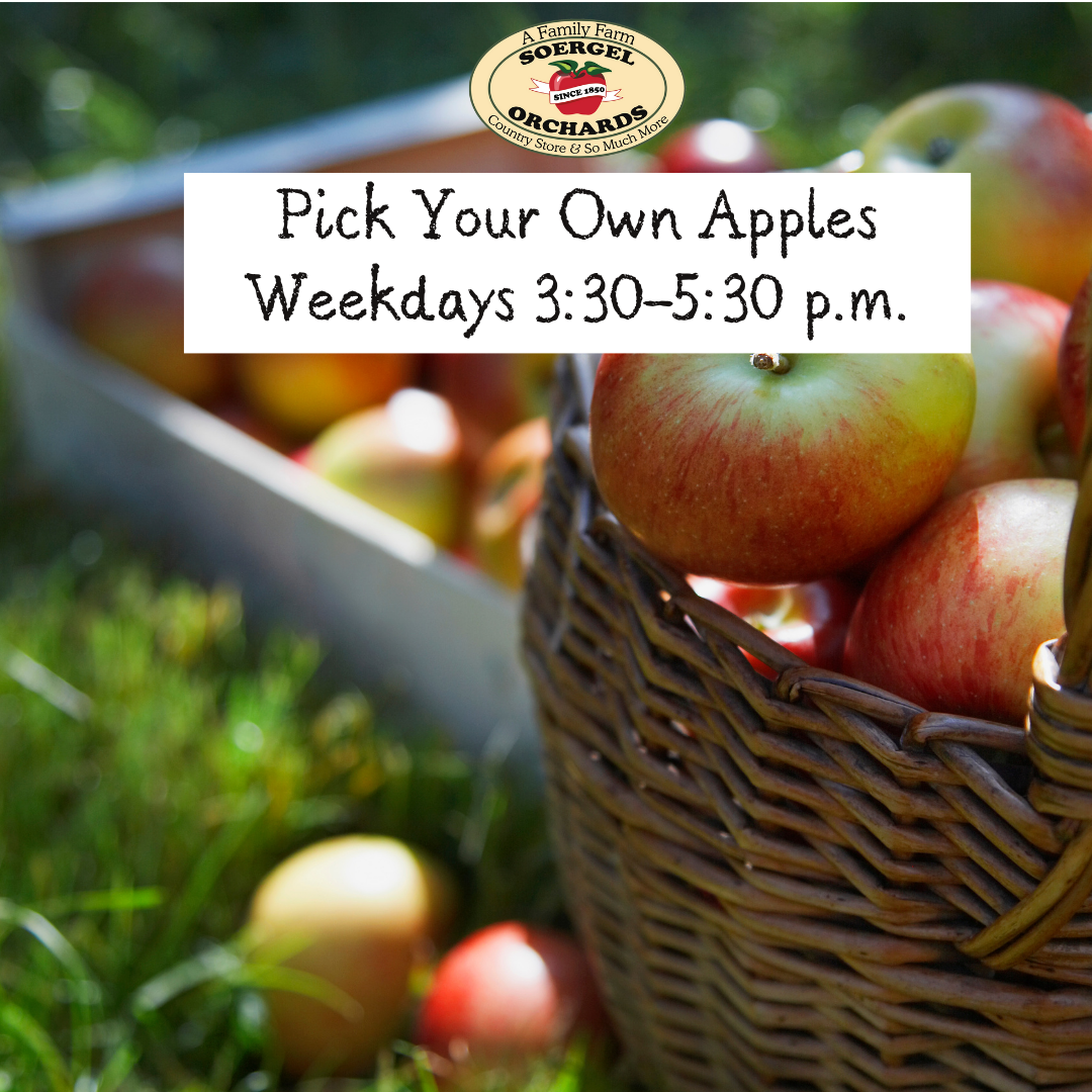 Pick Your Own Apples (1) | Soergel Orchards